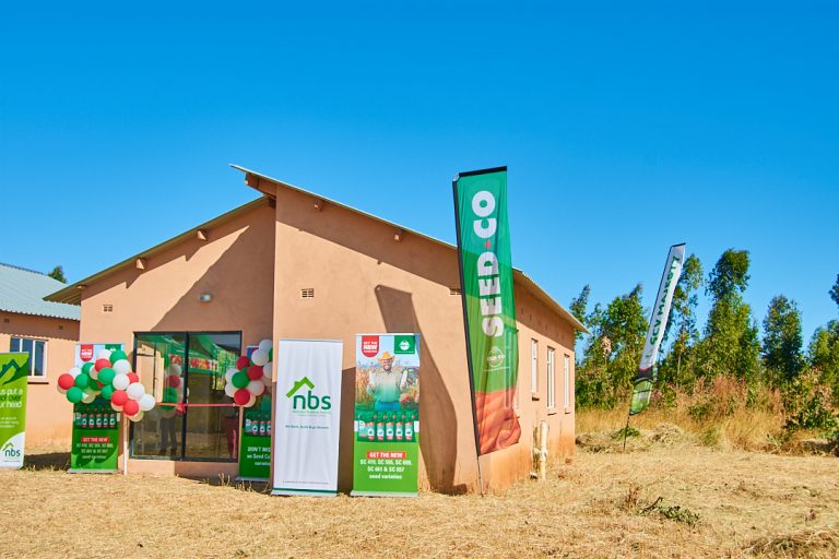 National Building Society (NBS) | Building Communities in Zimbabwe